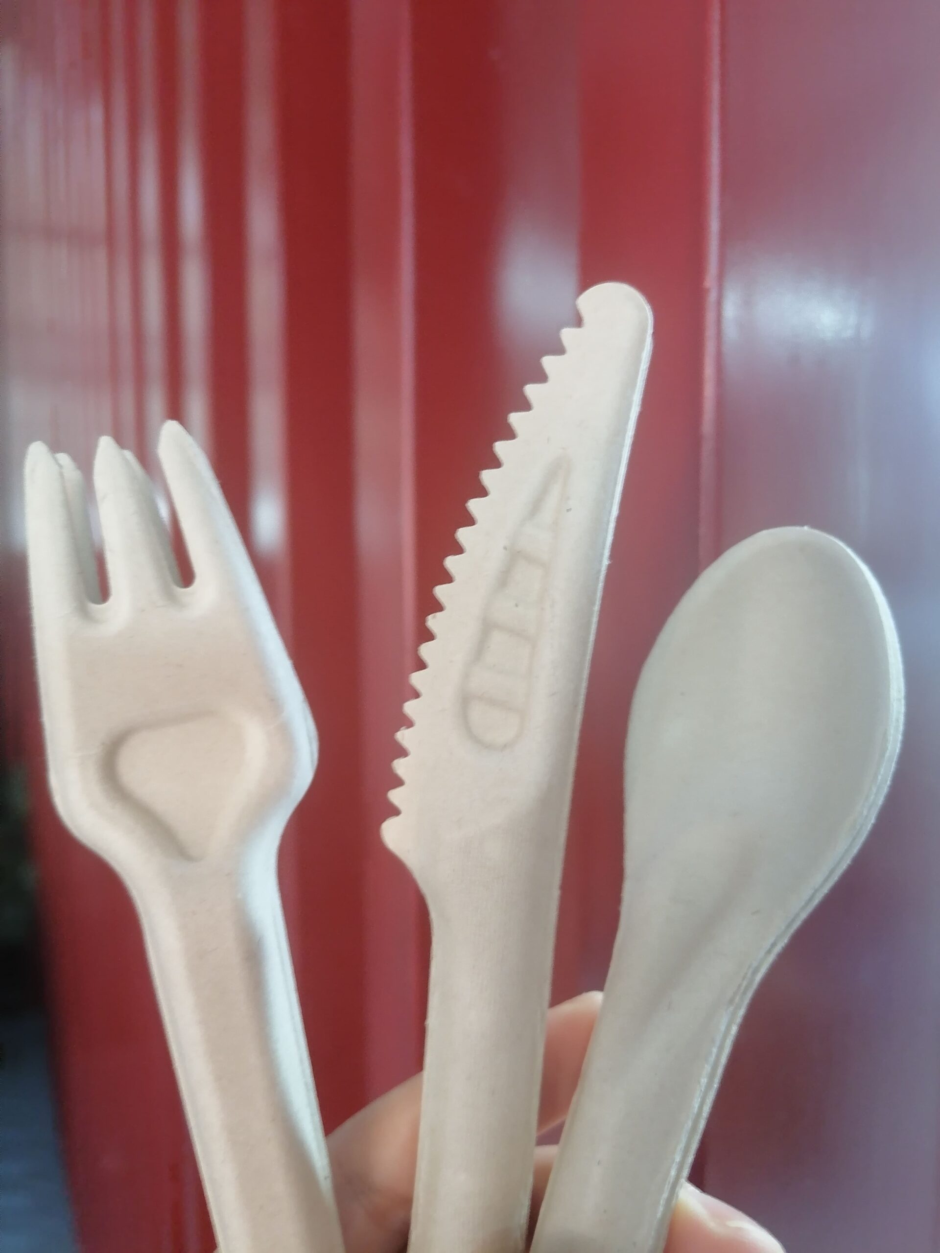 Disposable Cutlery - Eco-Friendly B2B Products Export